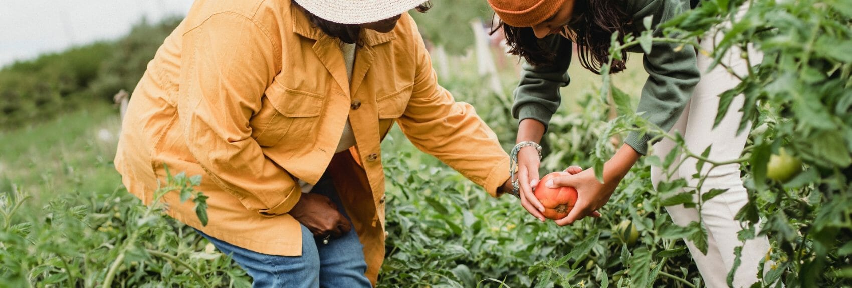 Preserves With Social Value | TERRA Food-Tech®