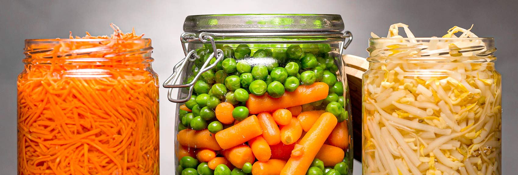 Vegetable Sterilization | TERRA Food-Tech®