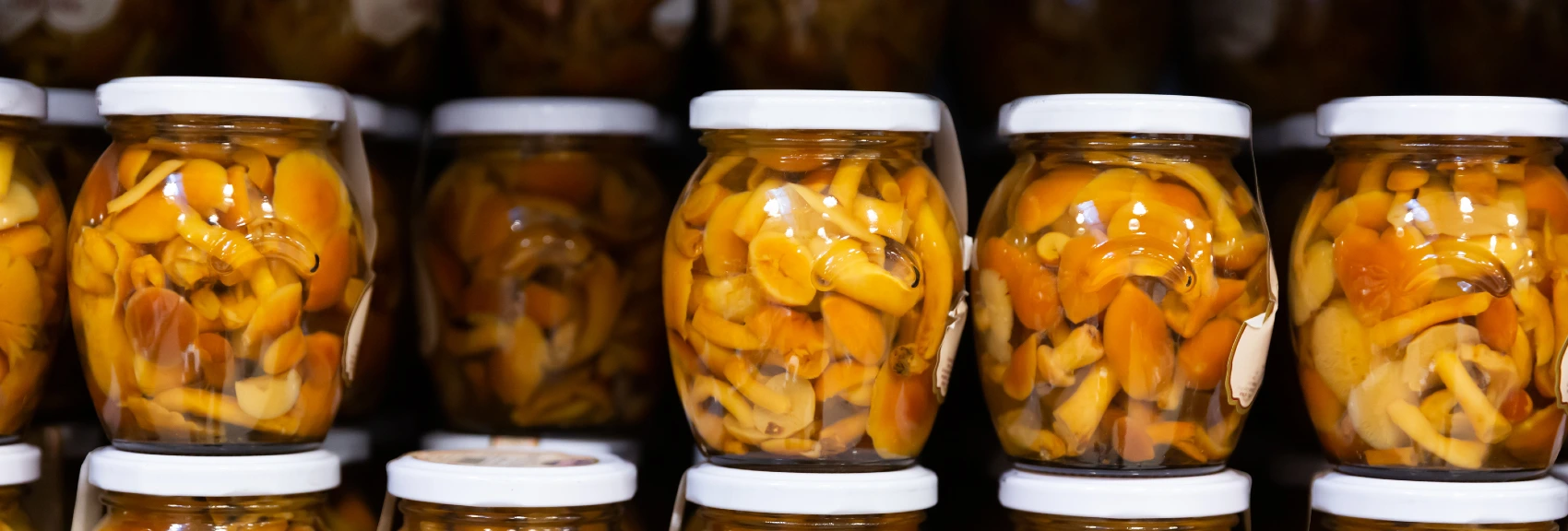 Stérilisation Des Champignons | Terra Food Tech